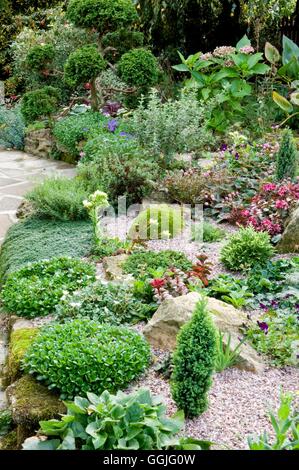 RAISED BED WITH ALPINES Stock Photo - Alamy