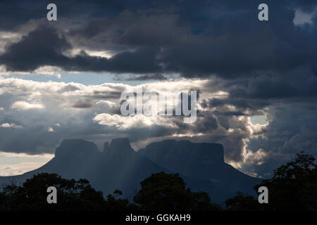Acopan Tepui, Acopan Tepui, La Gran Sabana, Venezuela Stock Photo - Alamy