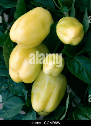 yellow bell pepper Stock Photo - Alamy