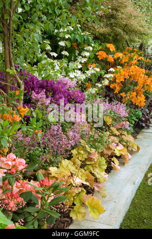 A colourful garden flower border with mixed planting including ...