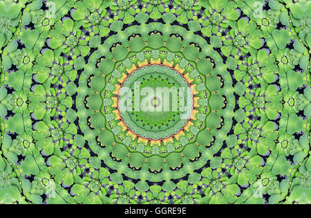 Colorful floral kaleidoscope seamless pattern. Hand drawn stylized ...