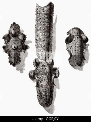 Medieval chanfron to protect the horse's face, 16th century Stock Photo ...