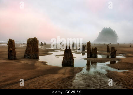 Proposal Rock, Neskowin, Tillamook County, Oregon Stock Photo - Alamy