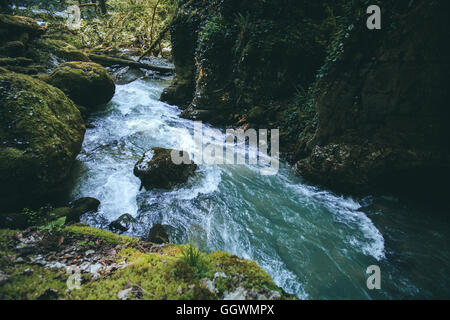 Mountain Waterfall River with deep forest Landscape beautiful scenic ...