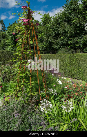 Flowering Summer garden border featuring the peach and purple tones of ...