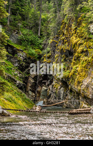 The wooden rope bridge across the ravine at Rolf's Place restaurant and ...