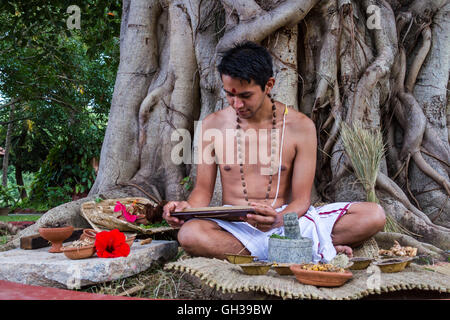 A young traditional ayurvedic doctor reading an ancient palm-leaf ...