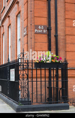 Cadogan Square and Pont Street Chelsea SW1 Stock Photo - Alamy