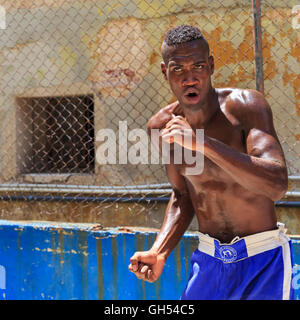 Young boxers training at the famous Gimnasio de Boxeo Rafael Trejo ...