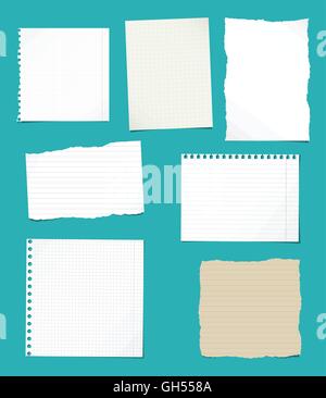 Set of ripped white, ruled, math notebook paper are stuck on gray ...