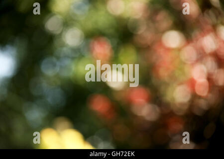 bokeh light overlay blur circles texture blue glow Stock Photo - Alamy
