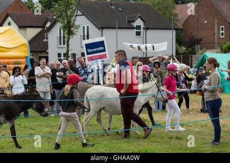 Theydon Bois Donkey Derby 2016 Stock Photo - Alamy