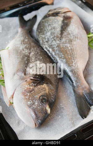 raw sea bream just scaled and flavored Stock Photo - Alamy