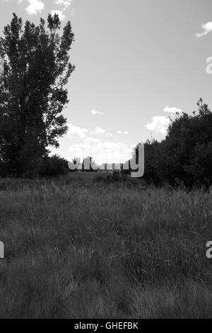 Black and Whites in Police Point Park Stock Photo - Alamy