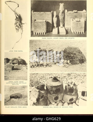 The 'Publications' (1895) is a collection of various academic and ...