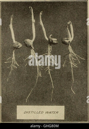 This 1912 study explores how plant roots absorb and excrete salts in ...