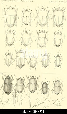 Annales de la Société Entomologique de France, published in 1857, is a ...