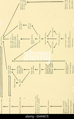 A journal published from 1919-1924 focusing on the biodiversity of ...