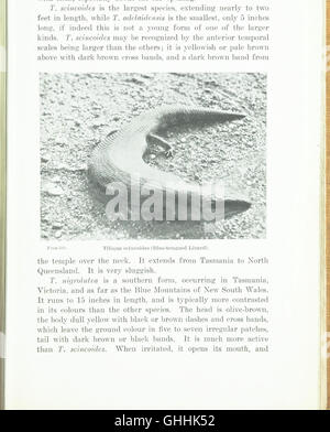 The Animals of Australia (1909) offers a comprehensive look at ...