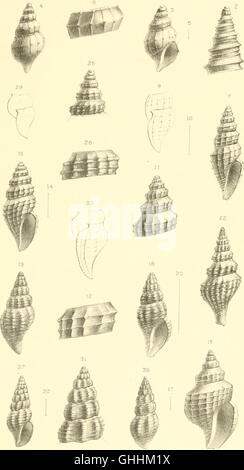 A 1897 work on the shelled mollusks of German East Africa, focusing on ...