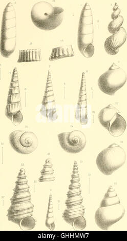 A 1897 work on the shelled mollusks of German East Africa, focusing on ...