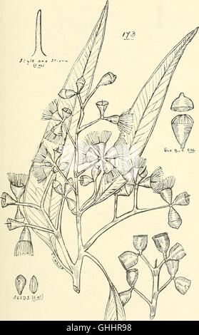 A comprehensive catalogue detailing the indigenous and naturalised ...
