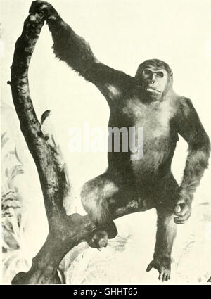 This 1928 work examines the evolution of the human brain, comparing the ...