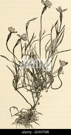 *The Mutation Theory* (1909) presents experiments and observations ...
