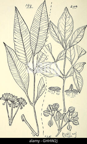 A comprehensive catalogue detailing both indigenous and naturalised ...