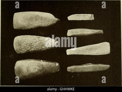 This report documents the archaeological exploration of a Munsee Native ...