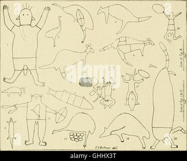 The Australian Museum magazine (1921 Stock Photo - Alamy