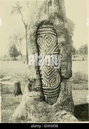 The Australian Museum magazine (1921 Stock Photo - Alamy
