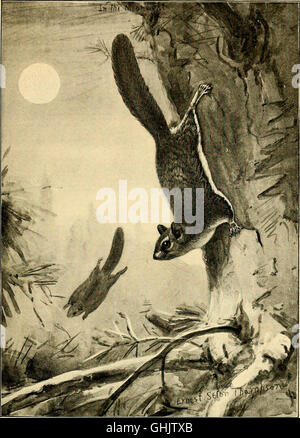 'Four-footed Americans and Their Kin' (1898) provides an overview of ...