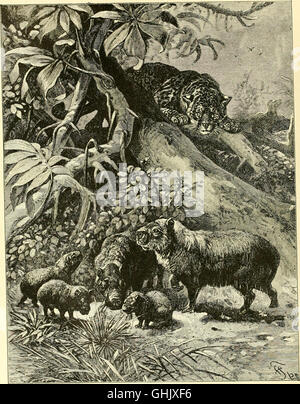 *Hunting and Trapping Stories* (1903) is a collection of adventurous ...