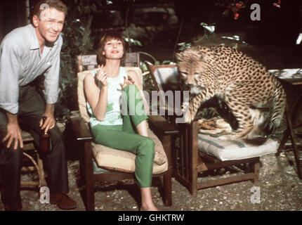 Eine bunt zusammengewürfelte Gruppe erlebt waghalsige Abenteuer beim ...