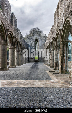 Boyle Abbey Co.Roscommon Ireland Stock Photo - Alamy