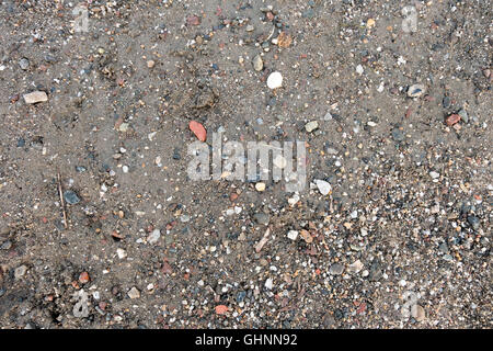 Sea sand texture made of shell and stone pieces Stock Photo - Alamy