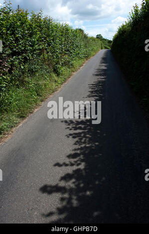 Narrow country road, East Coker, Yeovil, Somerset, England, United ...