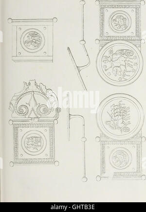 This 1876 collection showcases the most beautiful and interesting ...