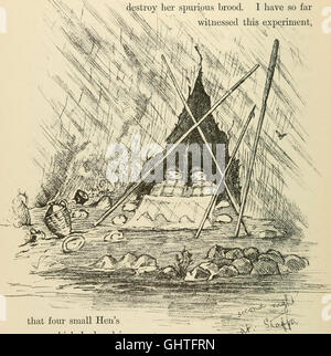 This 1890 book provides a detailed account of the bird species found ...
