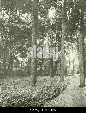 'The Suburbanite' (1910) is a monthly publication focusing on suburban ...
