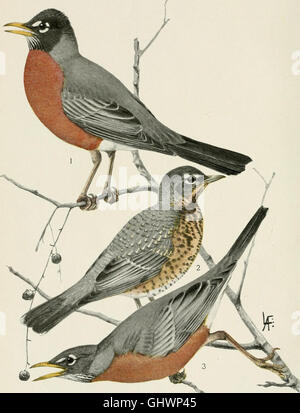 Bird Lore, published in 1907, provides insights into birdwatching ...
