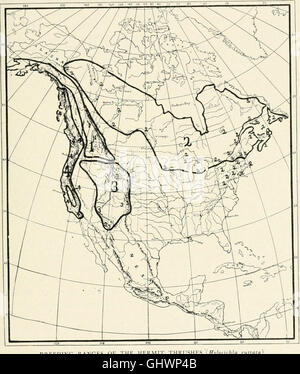 Bird-Lore (1907) is a periodical dedicated to birdwatching, bird ...