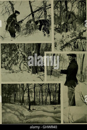 'Bird-lore' (1916) is a periodical dedicated to the study and ...