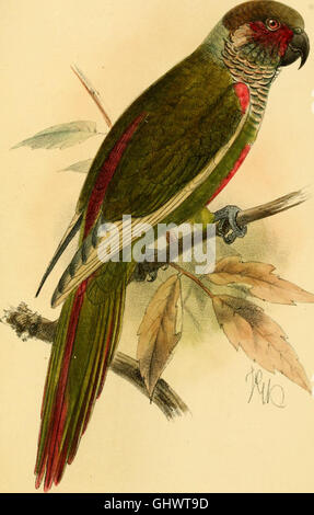 This catalogue provides a comprehensive listing of bird species housed ...