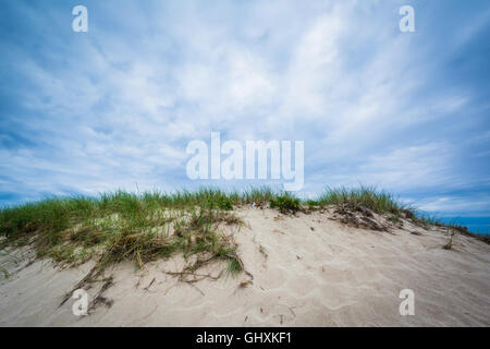 Sand dunes and grasses at Race Point, in the Province Lands at Cape Cod ...