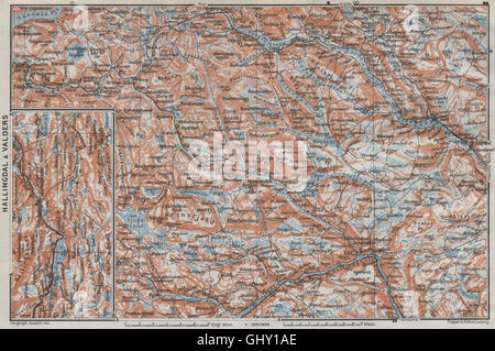 HALLINGDAL & VALDRES. Hemsedal Fagernes Aurdal. Topo-map. Norway kart ...