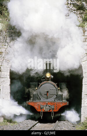 Locomotive passenger engine built for the Manchester and Sheffield ...