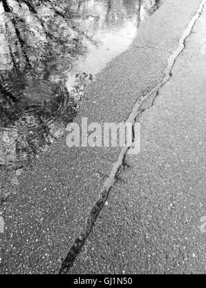 A puddle on an asphalt road reflecting the trees and the sky Stock ...