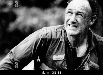 Bat 21 - Mitten Im Feuer Bat 21 Danny Glover, Gene Hackman Major Clark ...